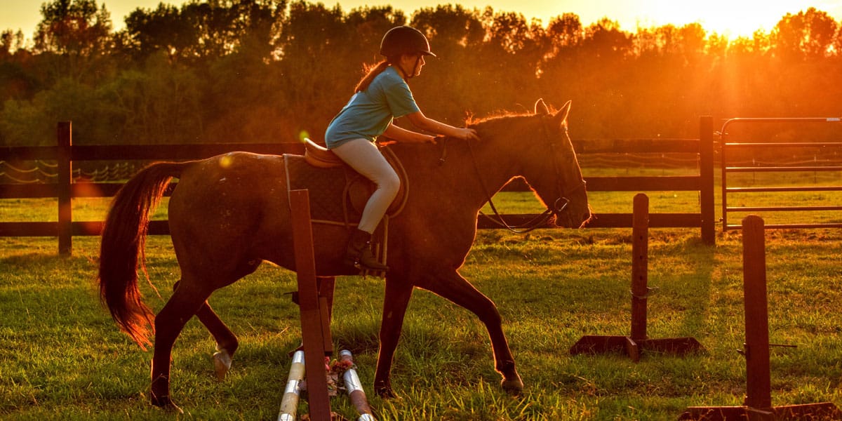 Picturesque Sunset Scenes With Horses - COWGIRL Magazine