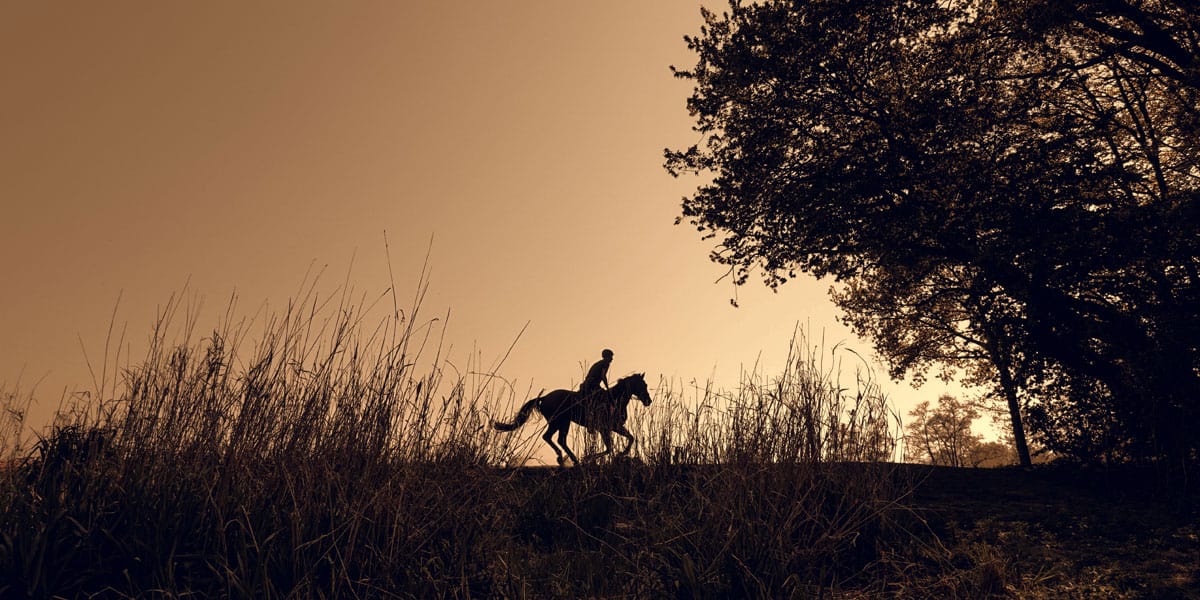 A Fall Checklist For Your Horse - COWGIRL Magazine