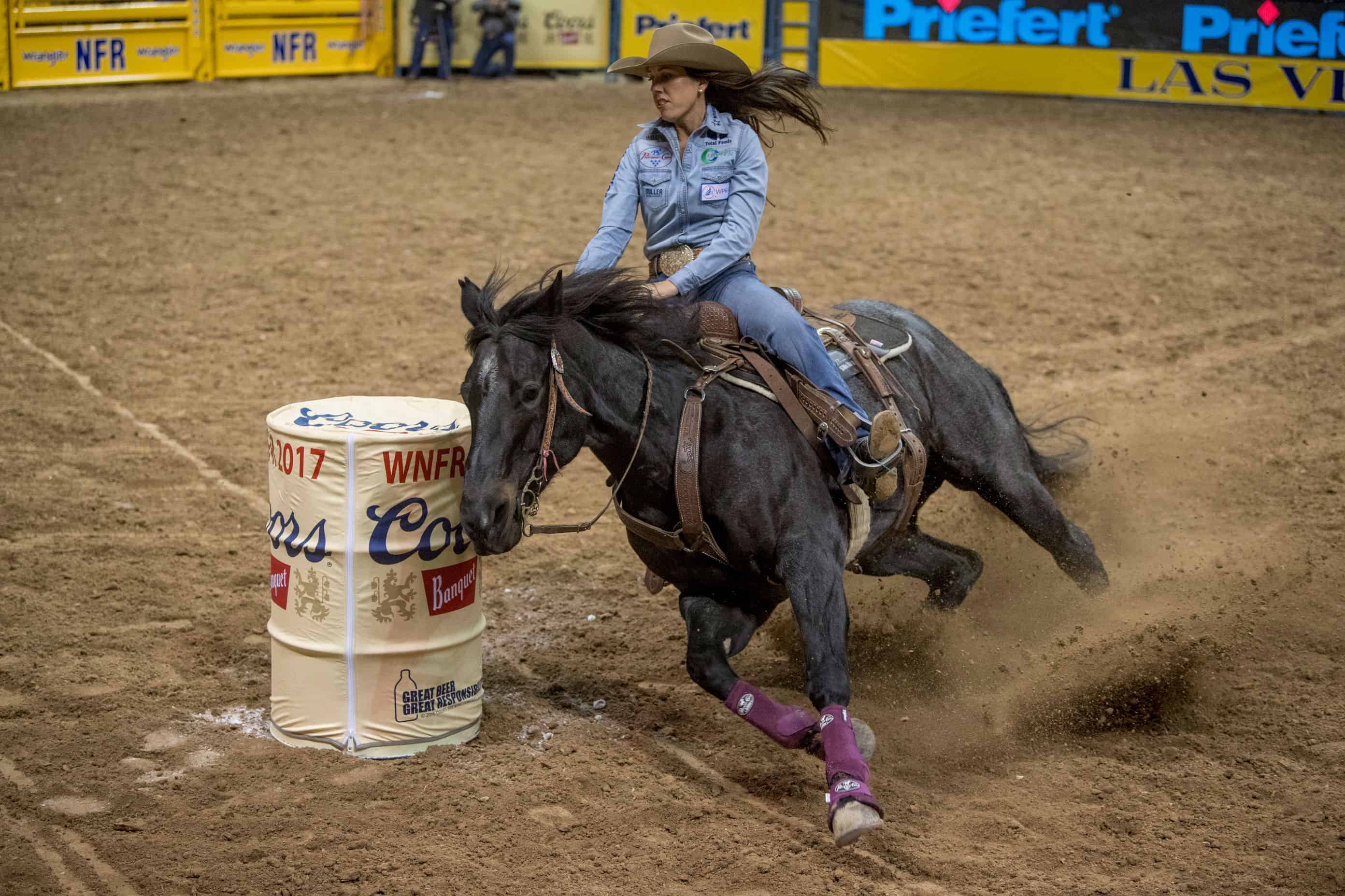 Meet The Cowgirls & The Barrel Horses Competing At The 2019 WNFR ...