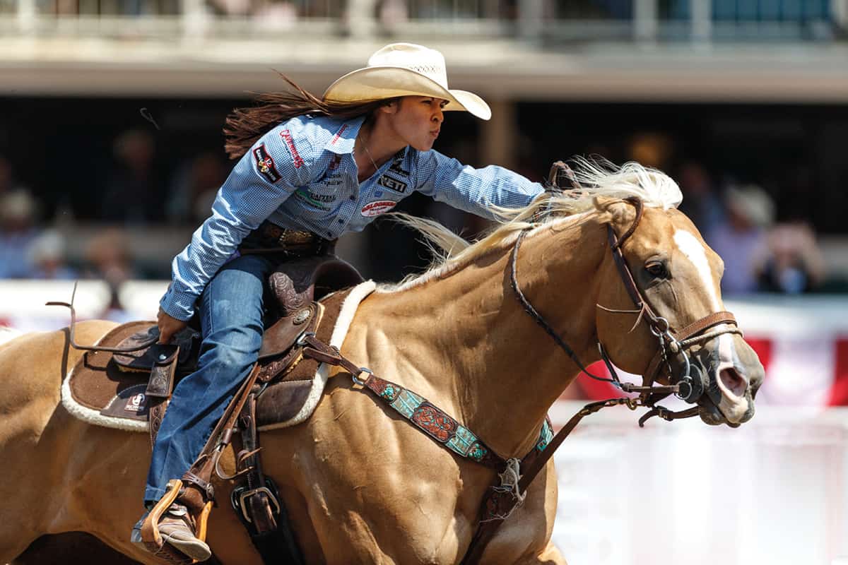 Meet The Cowgirls & The Barrel Horses Competing At The 2019 WNFR ...