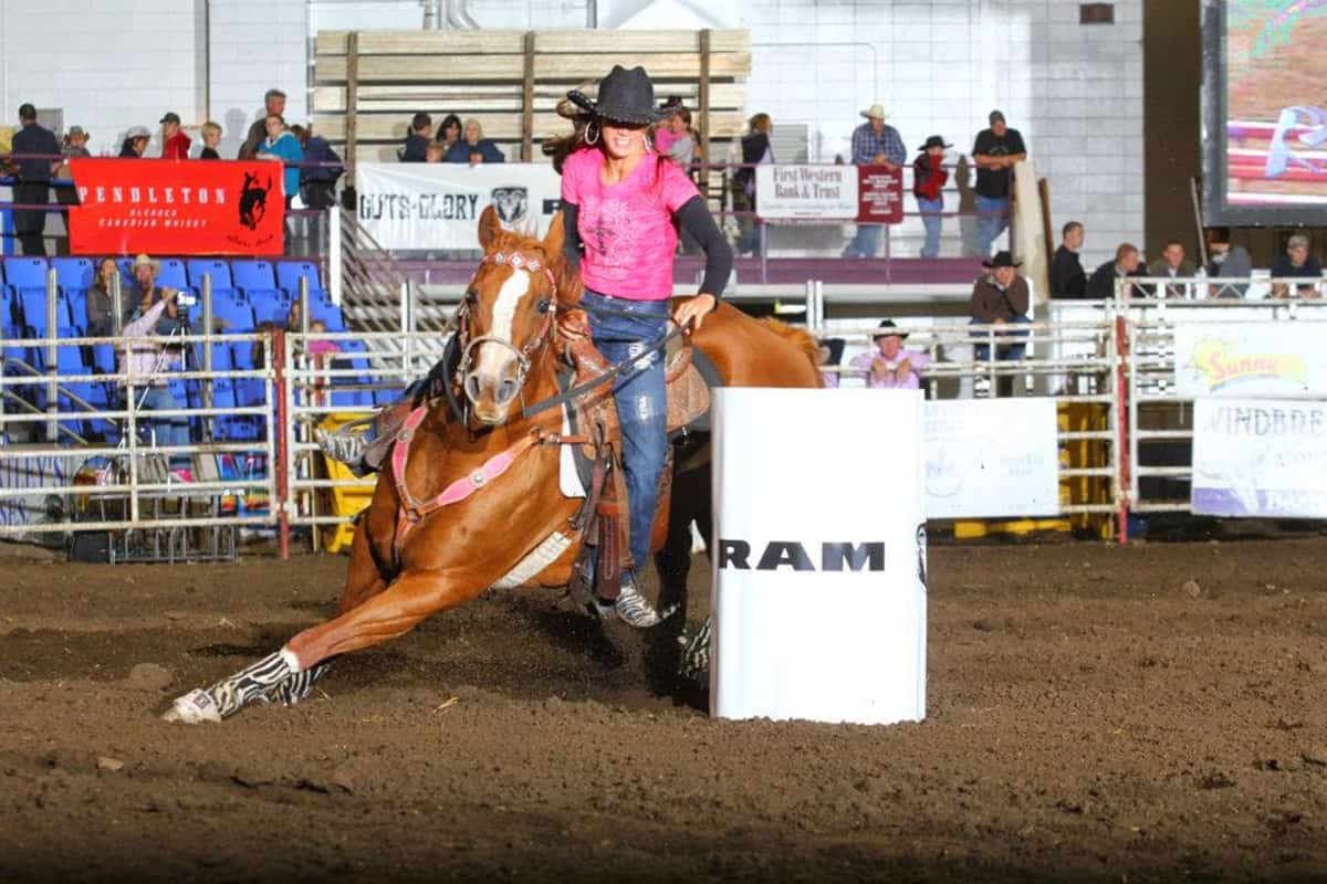 Meet The Cowgirls & The Barrel Horses Competing At The 2019 WNFR ...