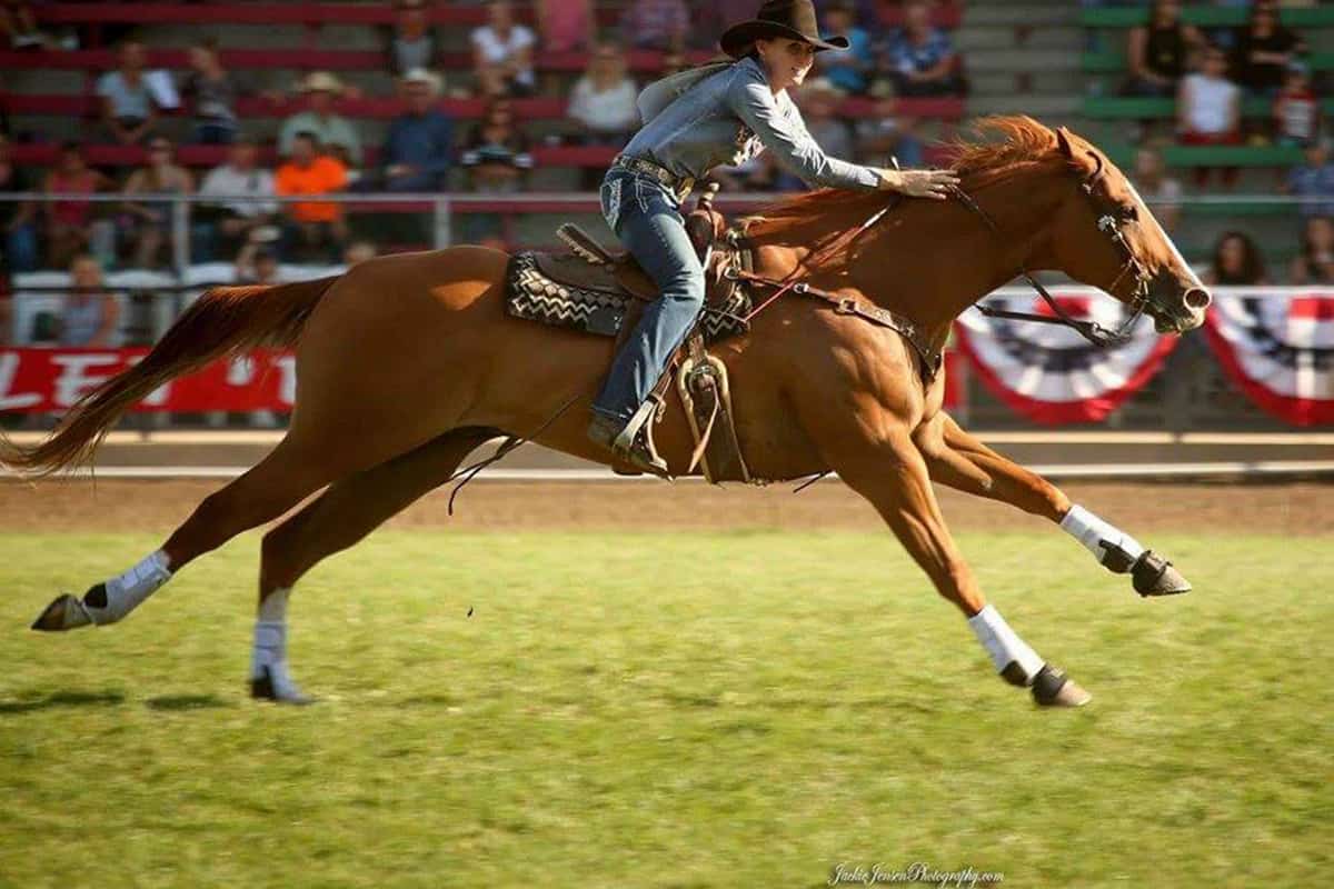 Meet The Five Cowgirls Headed To Their First Wrangler NFR - COWGIRL ...