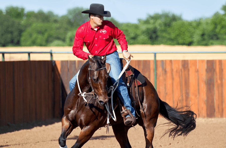 Ask Clinton Anderson | Cowgirl Magazine