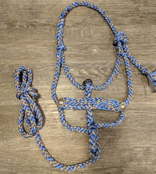 5 Beautiful Mule Tape Halters For The Western Horse - COWGIRL Magazine