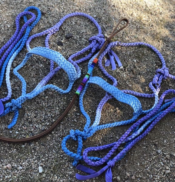 5 Beautiful Mule Tape Halters For The Western Horse - COWGIRL Magazine