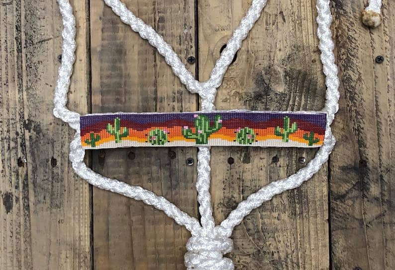 5 Beautiful Mule Tape Halters For The Western Horse - COWGIRL Magazine