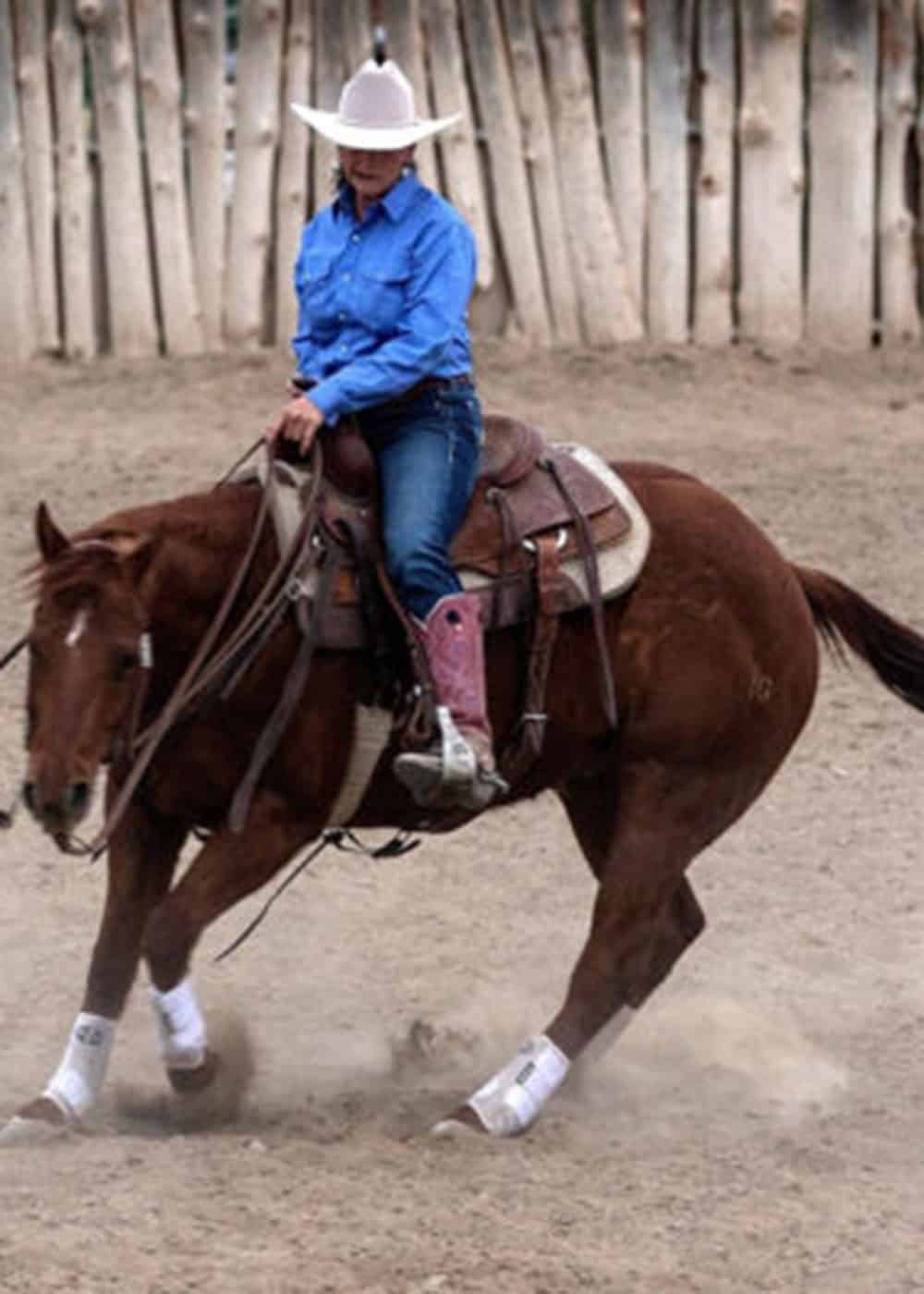 Every Clinician At Art Of The Cowgirl - COWGIRL Magazine