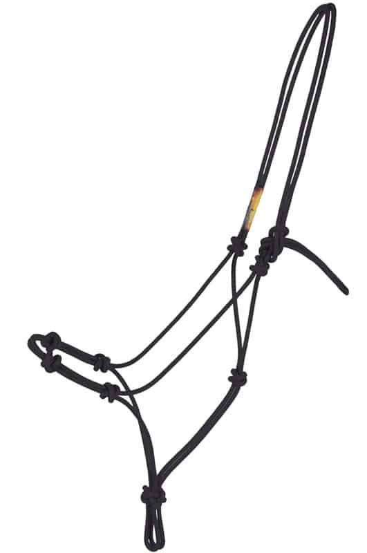 Must Have Training Tools For Groundwork - COWGIRL Magazine