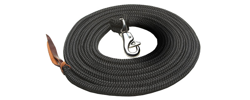 Must Have Training Tools For Groundwork - COWGIRL Magazine