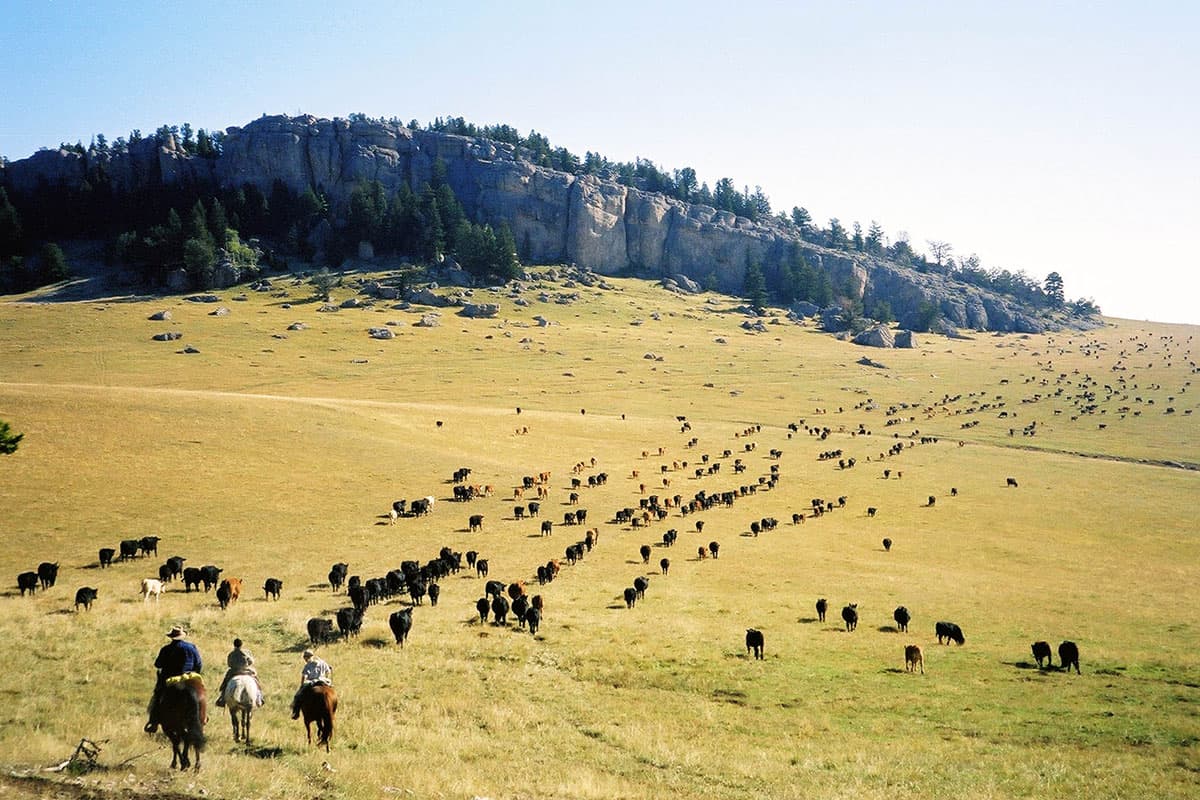 8 Unbelievable Dude Ranches To Visit This Summer - COWGIRL Magazine