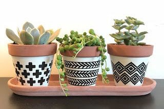 DIY Southwestern-Inspired Gardening Pots - COWGIRL Magazine