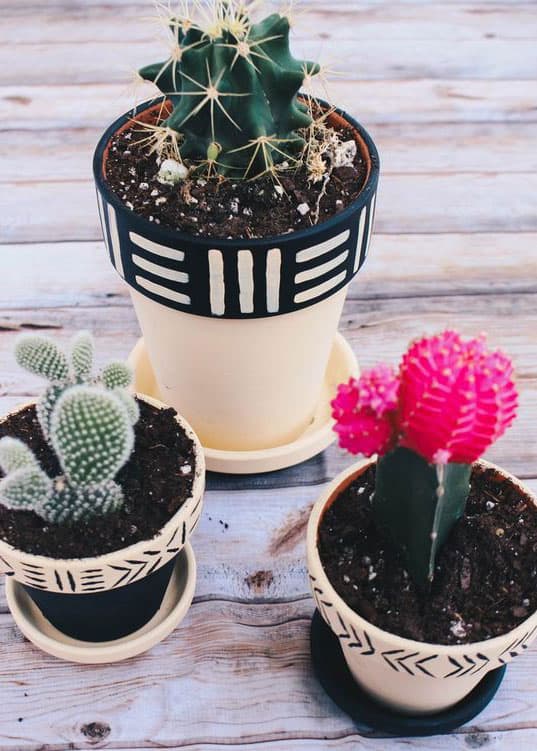 DIY Southwestern-Inspired Gardening Pots - COWGIRL Magazine