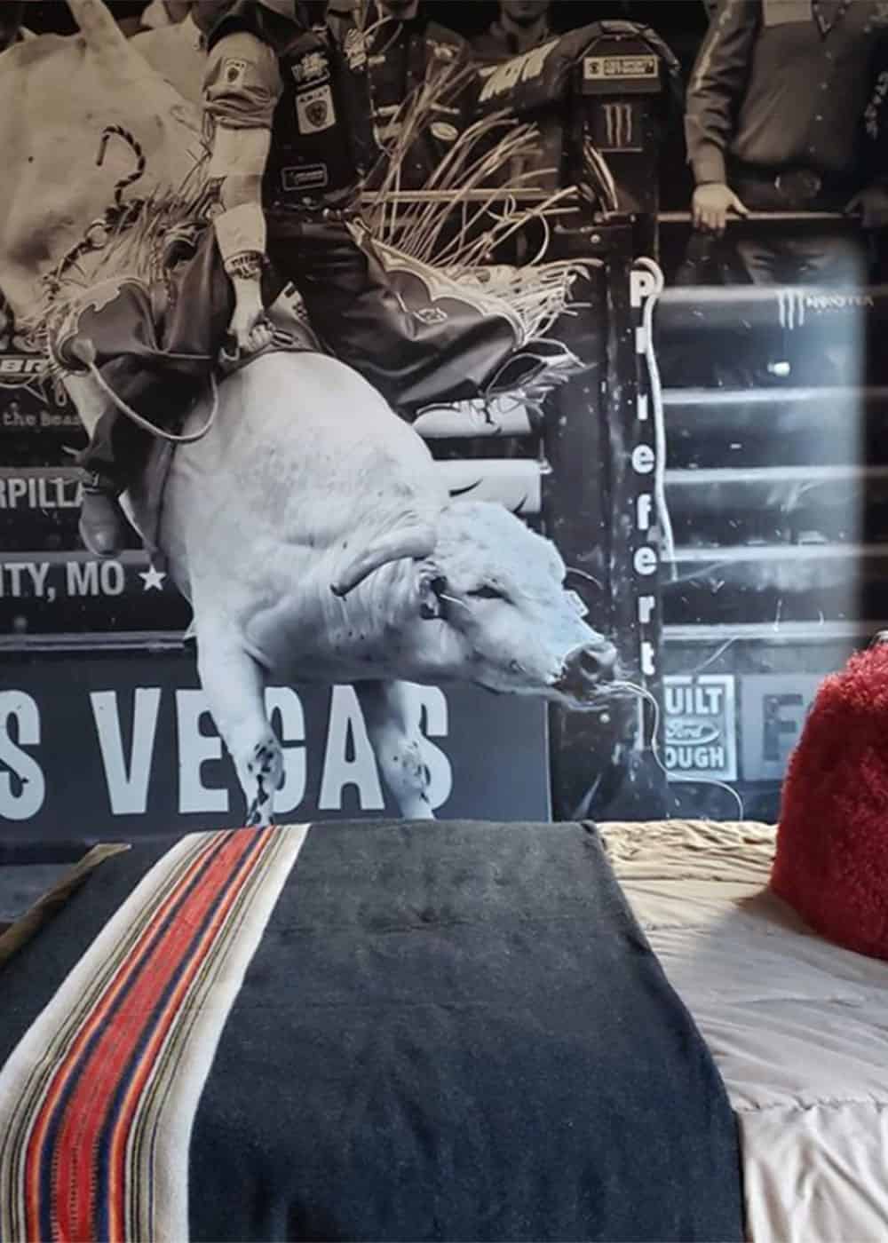 The Pendleton, Bull Ridin', Belt Buckle Dream House - COWGIRL Magazine