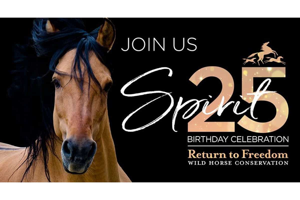 Spirit's Birthday Happy Birthday, Spirit! - COWGIRL Magazine %%primary ...