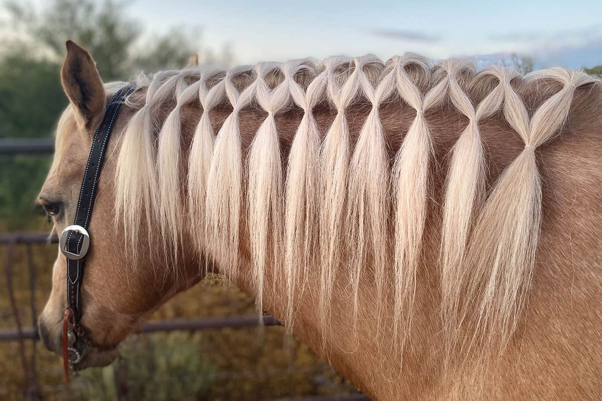A Gorgeous Summer Horse Hairstyle To Try This Weekend - COWGIRL Magazine