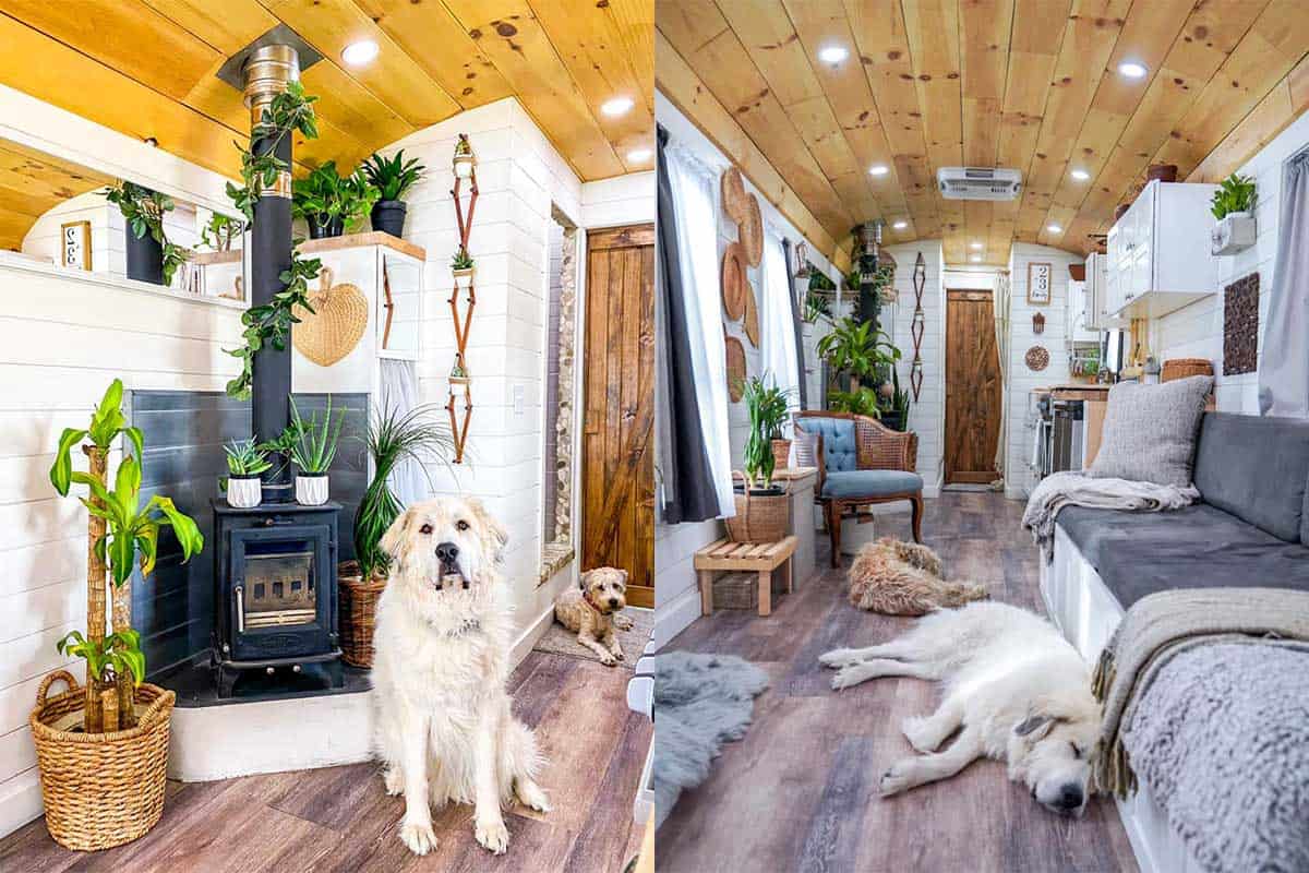 Be A Homebody Everywhere You Go In This Bus