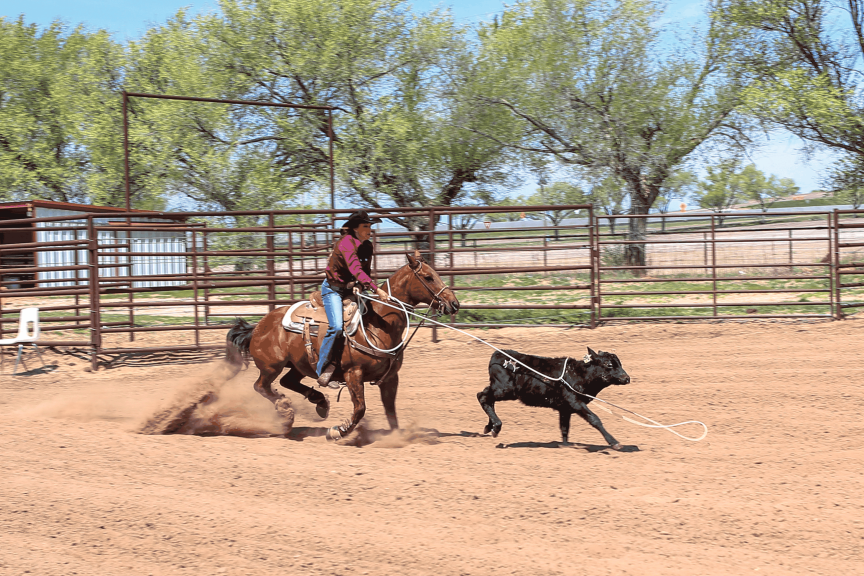 Breaking Down The Breakaway - COWGIRL Magazine