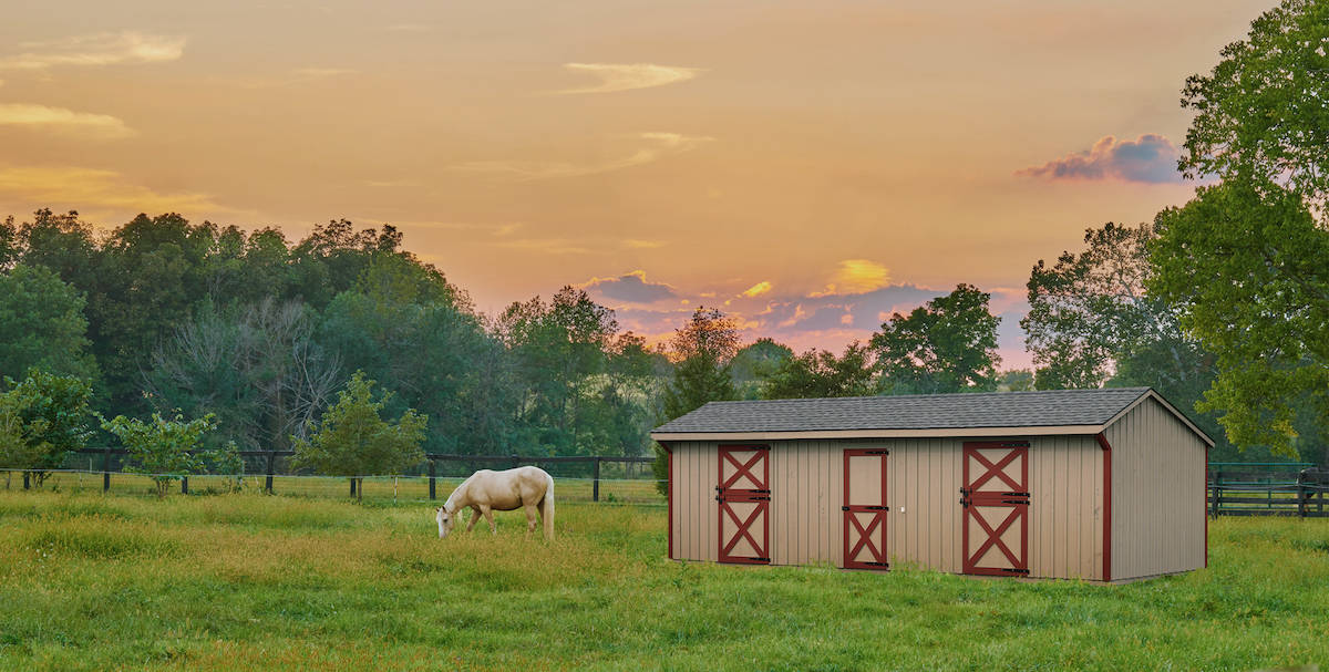 Bring Your Horse Home To A Shedrow Barn - COWGIRL Magazine