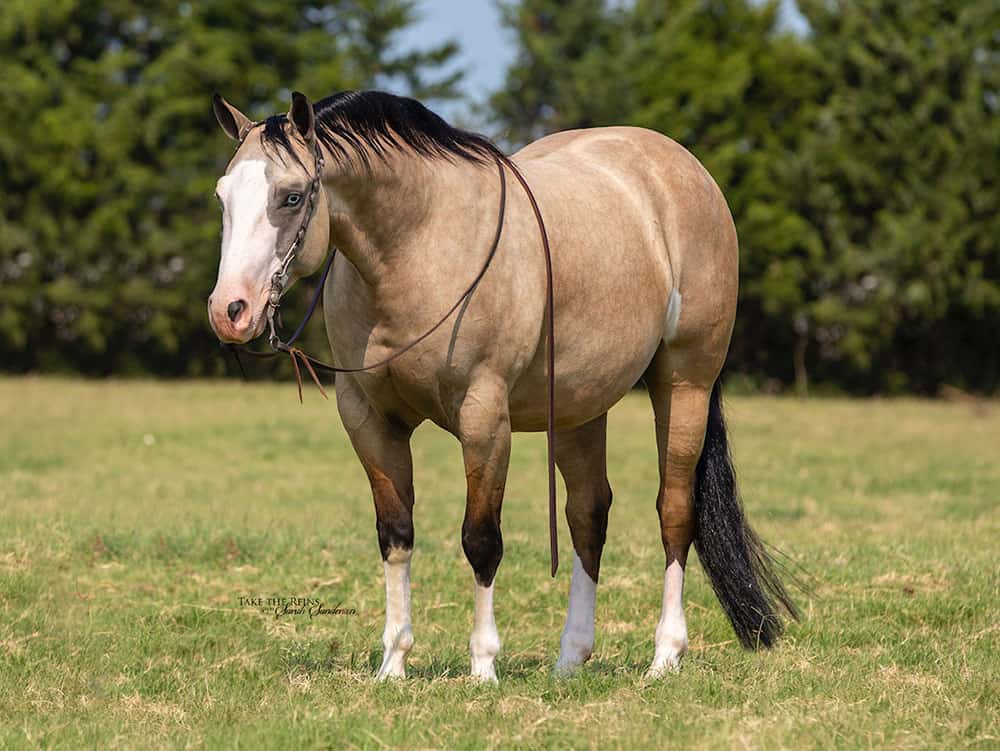 Cowgirl Cadillacs Returns For Third Year, Presented By COWGIRL Magazine ...