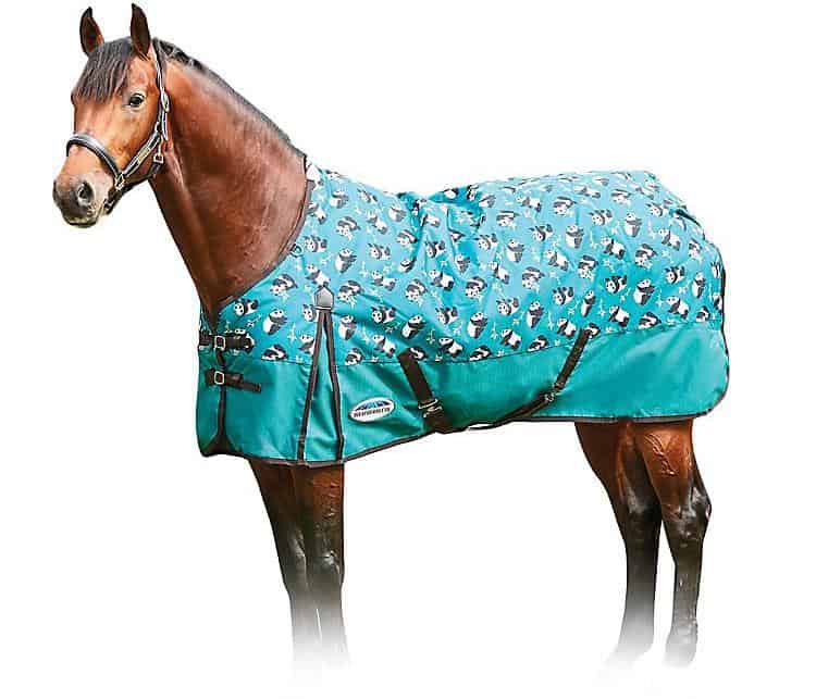 6 Rain Sheets To Get Your Horse Through Fall - COWGIRL Magazine