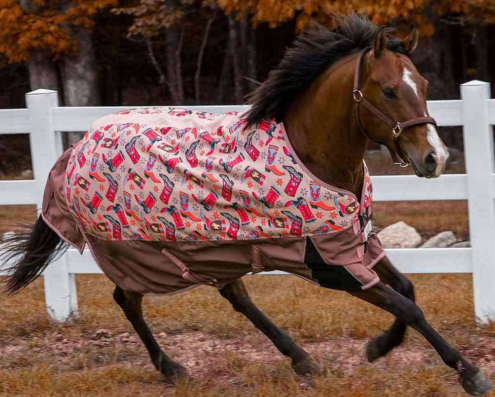 Winter Horse Blankets With Western Flair - COWGIRL Magazine