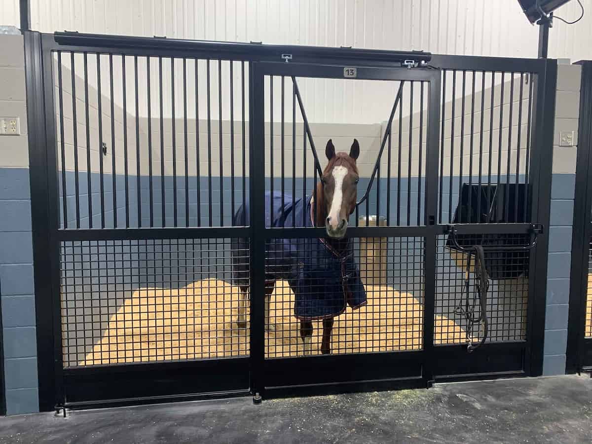 Clinton Anderson's New Arkansas Ranch Is Gorgeous - COWGIRL Magazine