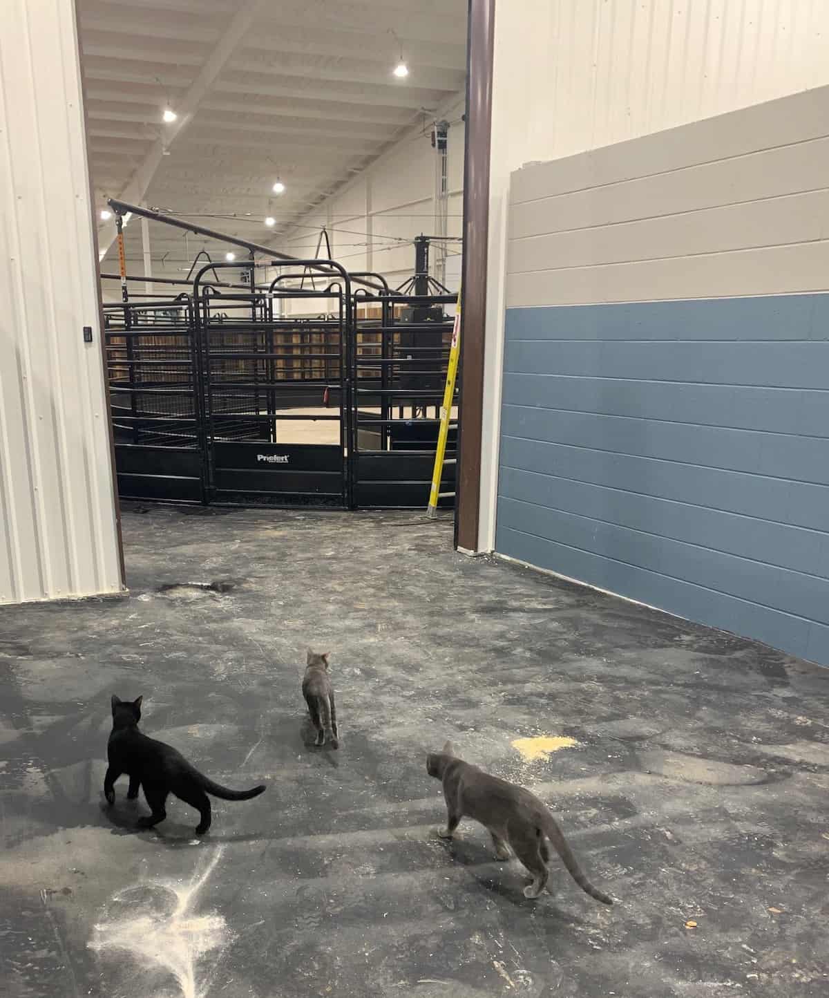 Clinton Anderson's New Arkansas Ranch Is Gorgeous - COWGIRL Magazine