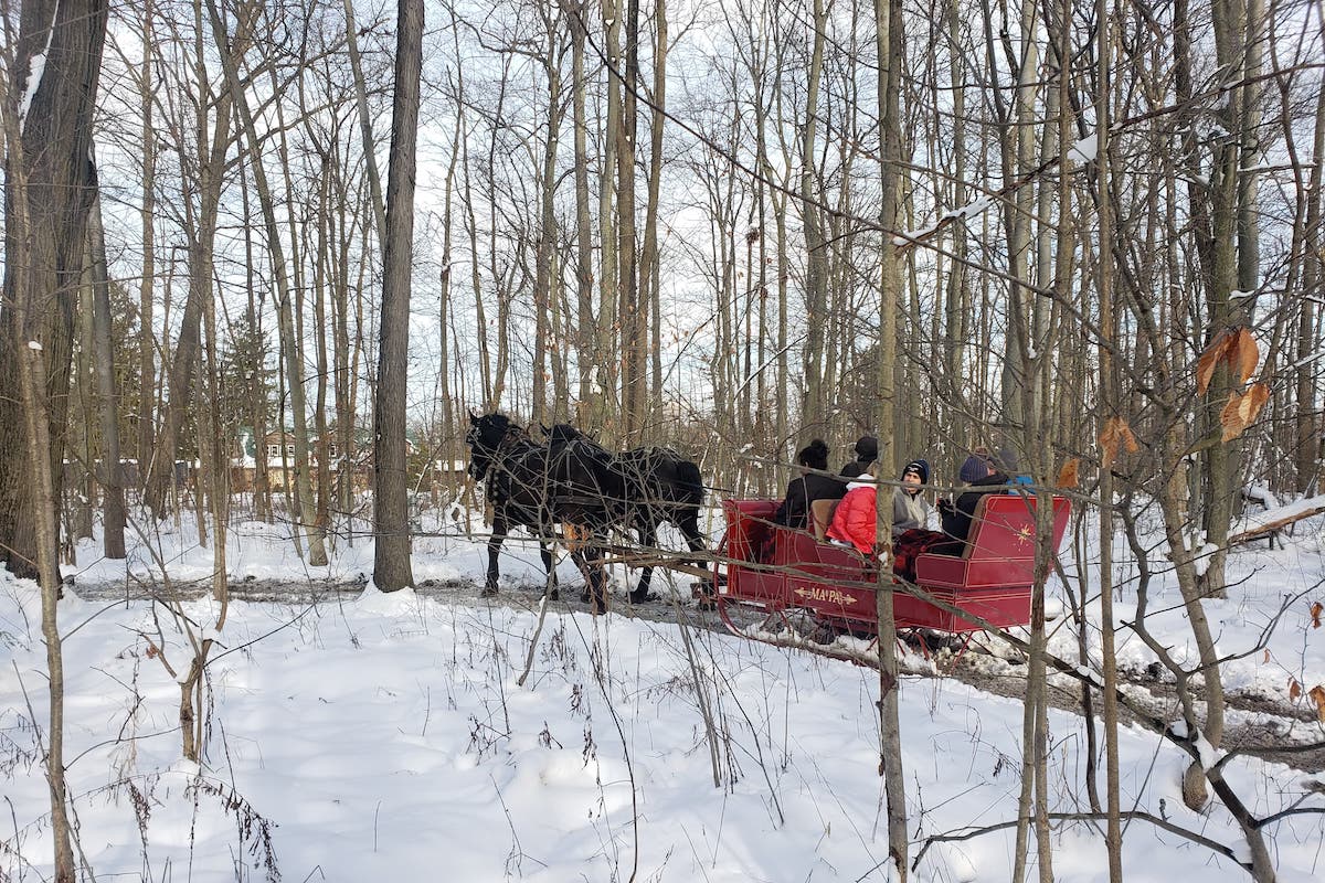 Dashin' Through The Snow On A Horse-Drawn Sleigh - COWGIRL Magazine