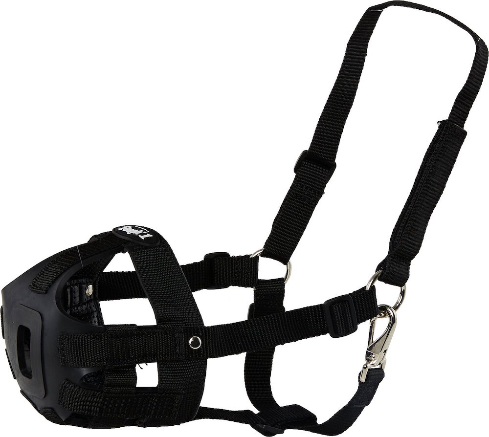 Grazing Muzzles For Spring Pasture - COWGIRL Magazine
