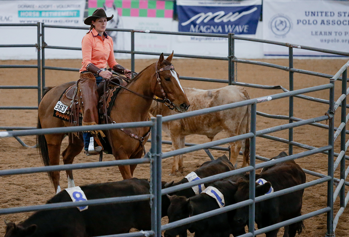 Career Change Thoroughbred Style - COWGIRL Magazine