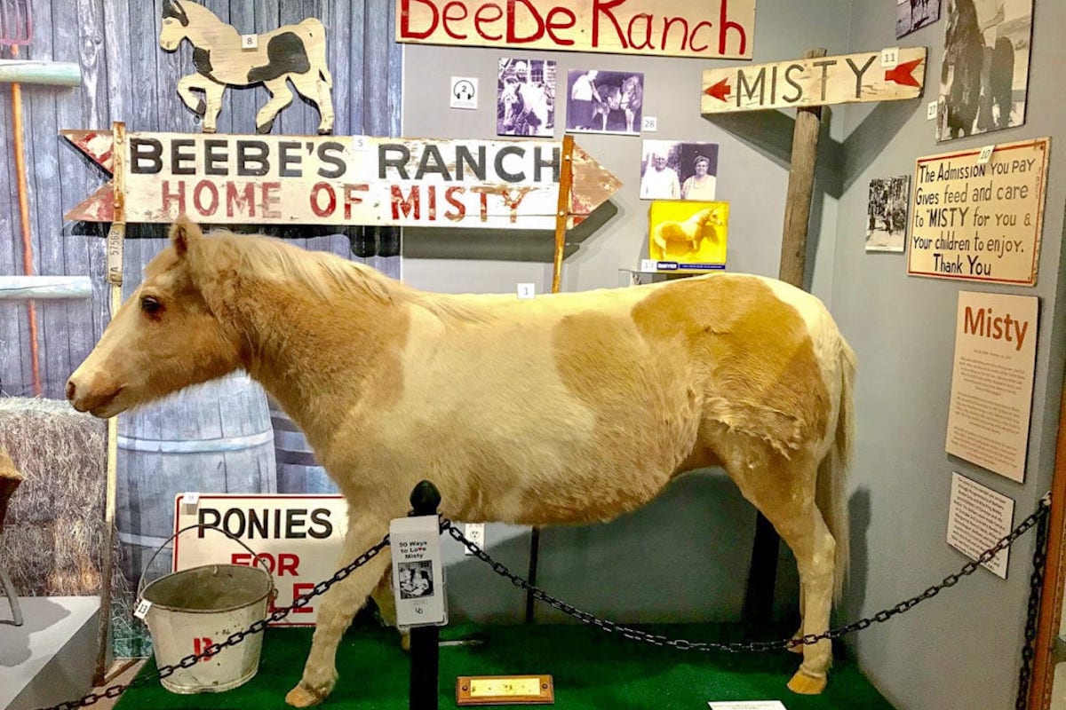 The Real Misty Of Chincoteague - COWGIRL Magazine