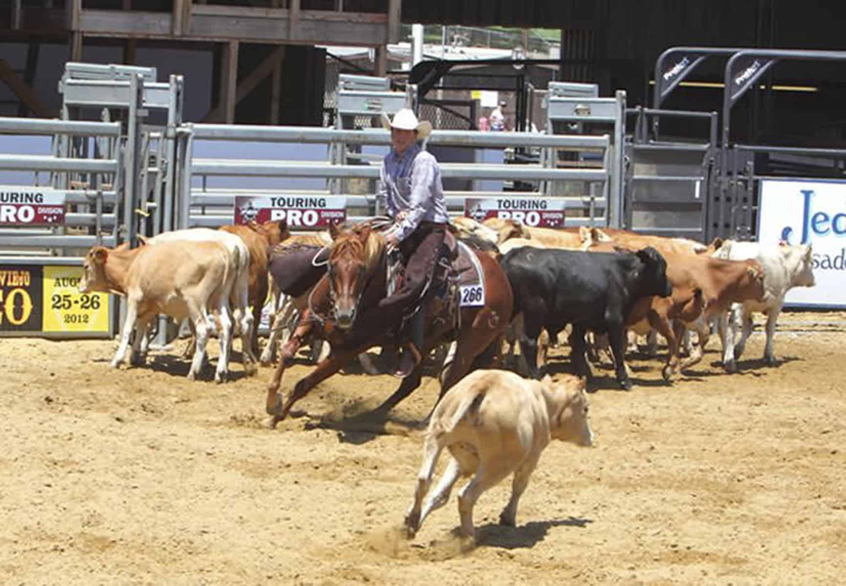 Santa Barbara's Old Spanish Days - COWGIRL Magazine