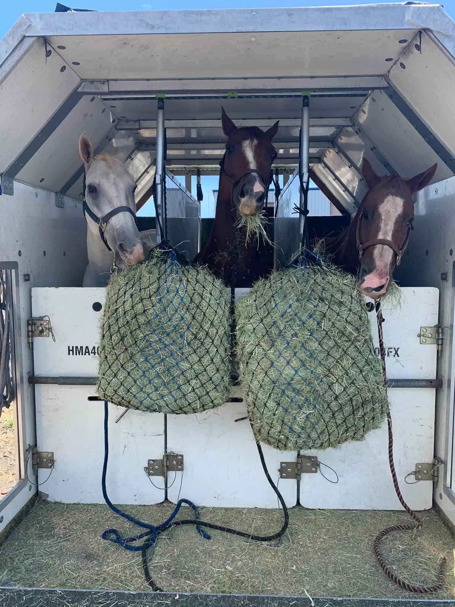 First Class Livestock Travelers - COWGIRL Magazine