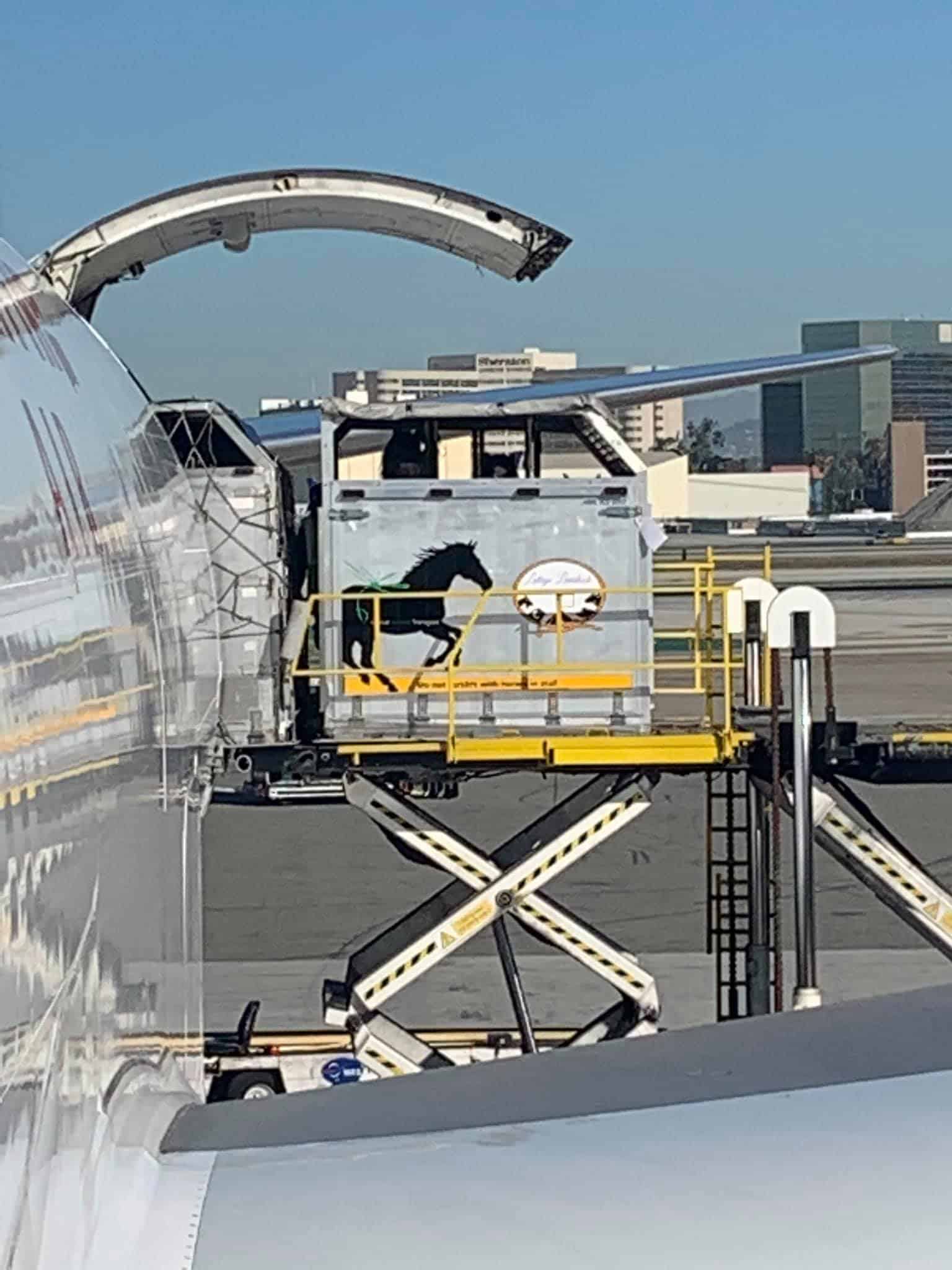 First Class Livestock Travelers - COWGIRL Magazine