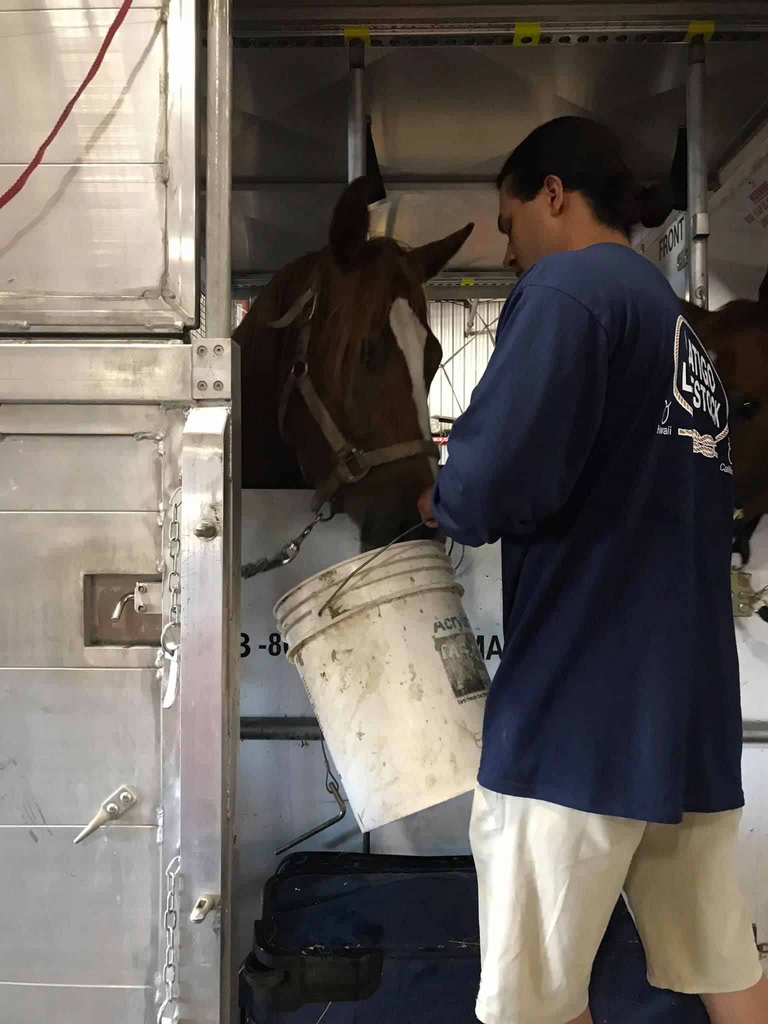 First Class Livestock Travelers - COWGIRL Magazine