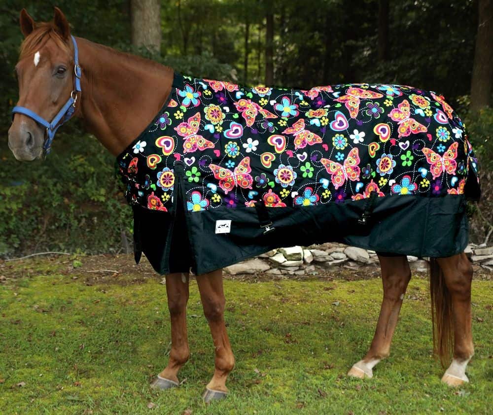 Horse Blankets In Fun & Wild Prints - COWGIRL Magazine