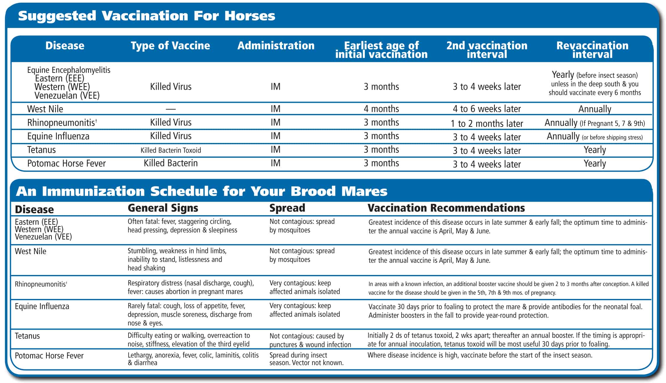 Recommended Vaccinations Chart For Horses - COWGIRL Magazine