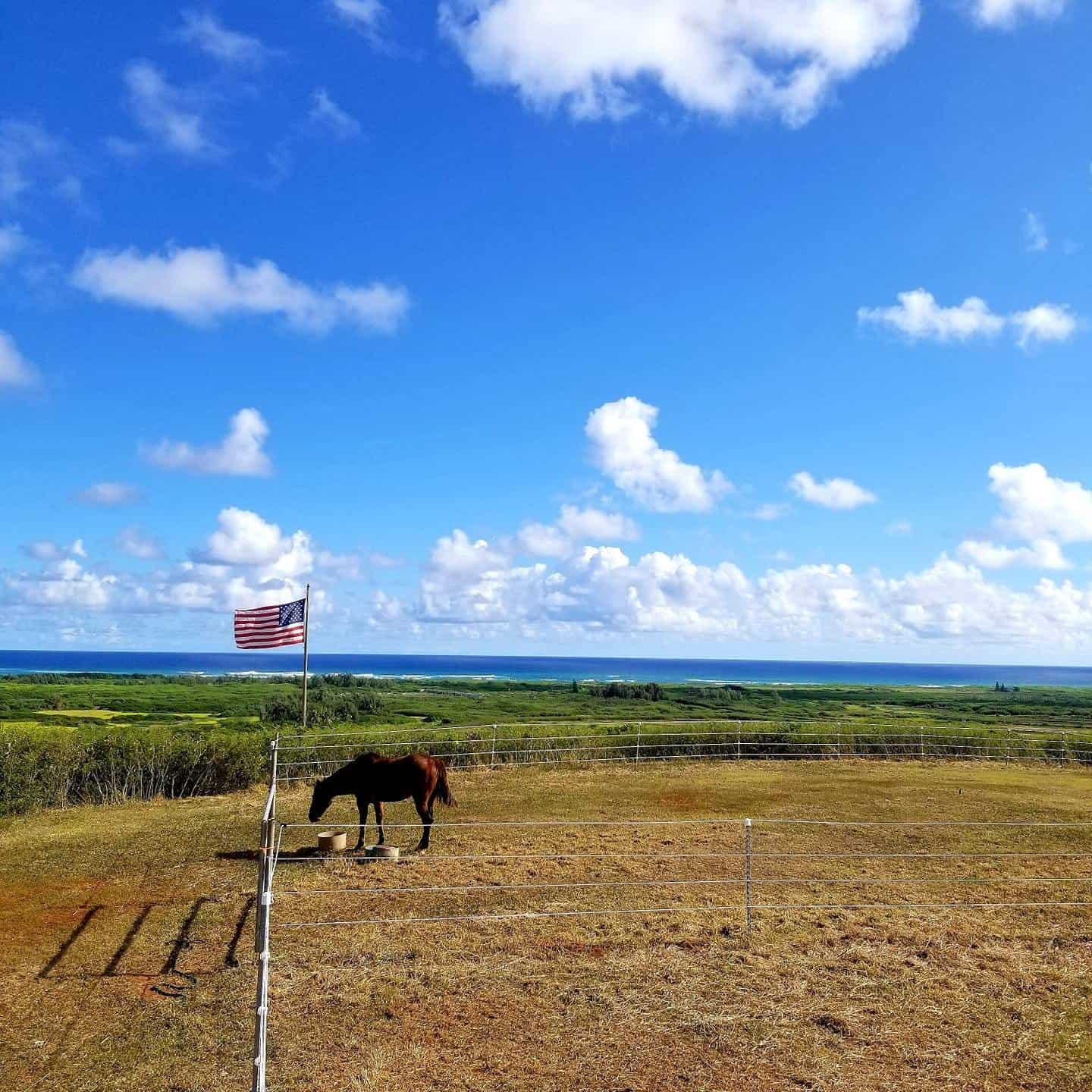 Resourceful Ranching - COWGIRL Magazine