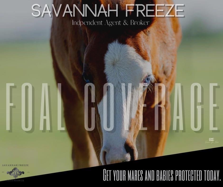 Horse Insurance Built For You - COWGIRL Magazine