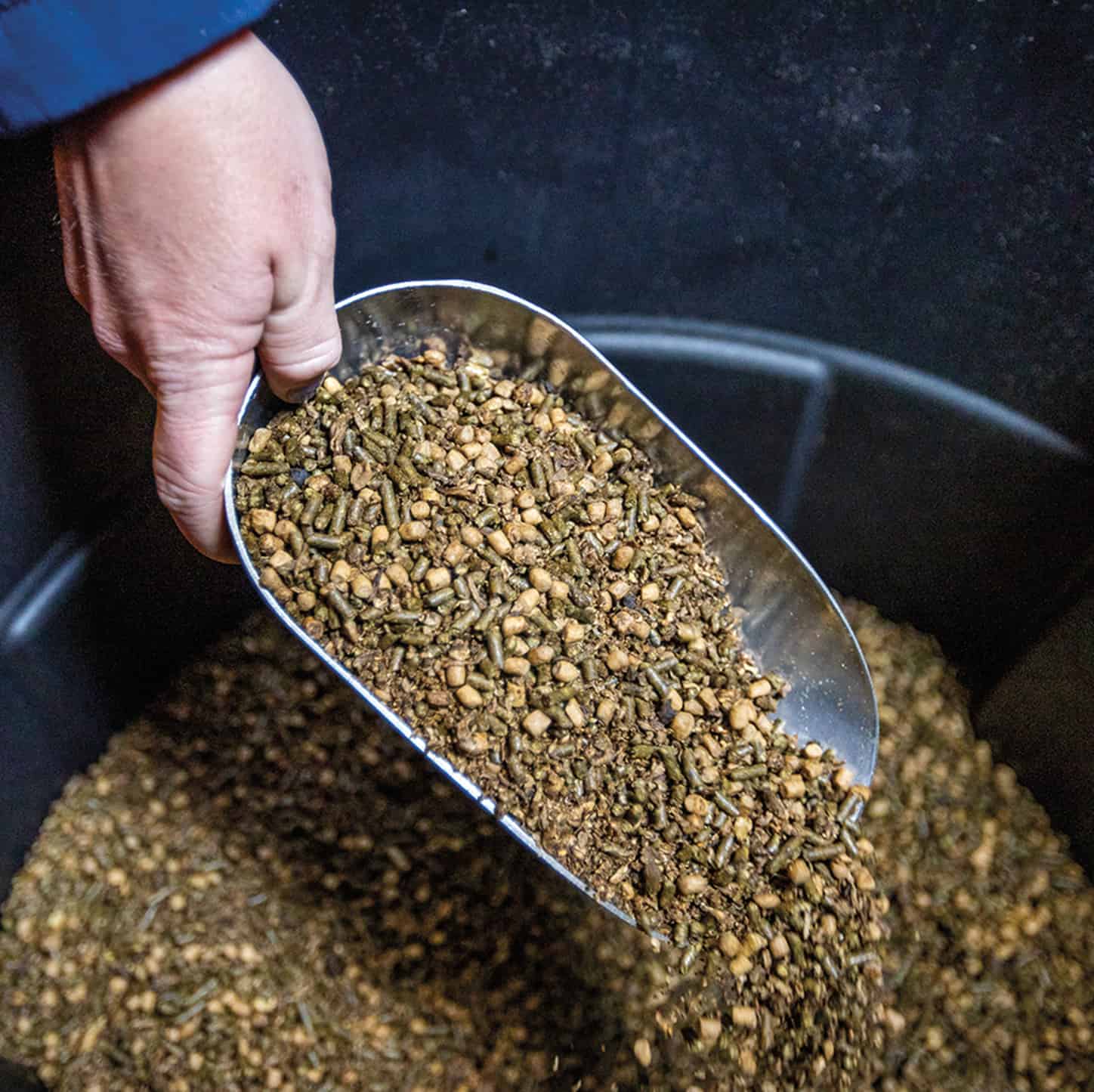 Get Up To Speed On Feed - COWGIRL Magazine