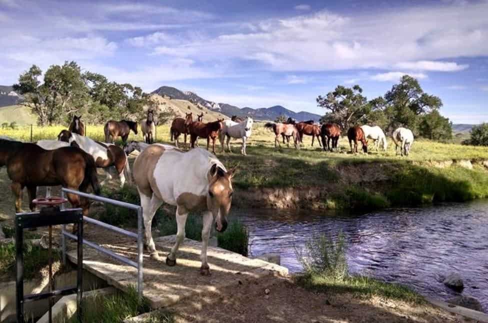 COWGIRL's Ultimate Dude Ranch Vacation Guide - COWGIRL Magazine