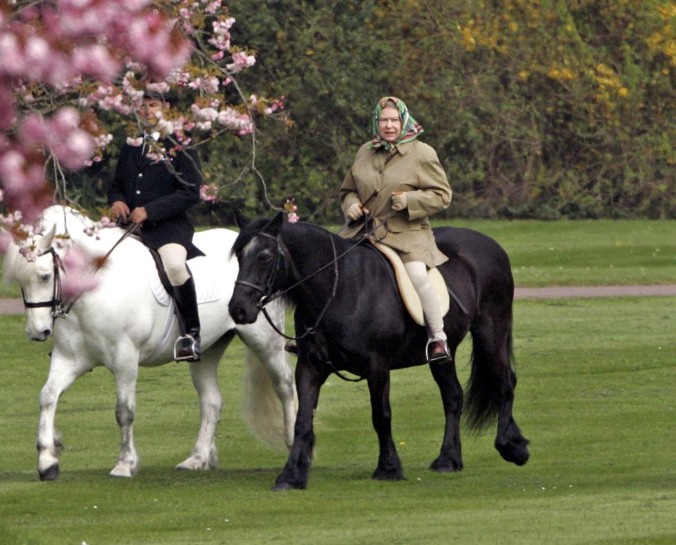 All The Queen's Horses - COWGIRL Magazine