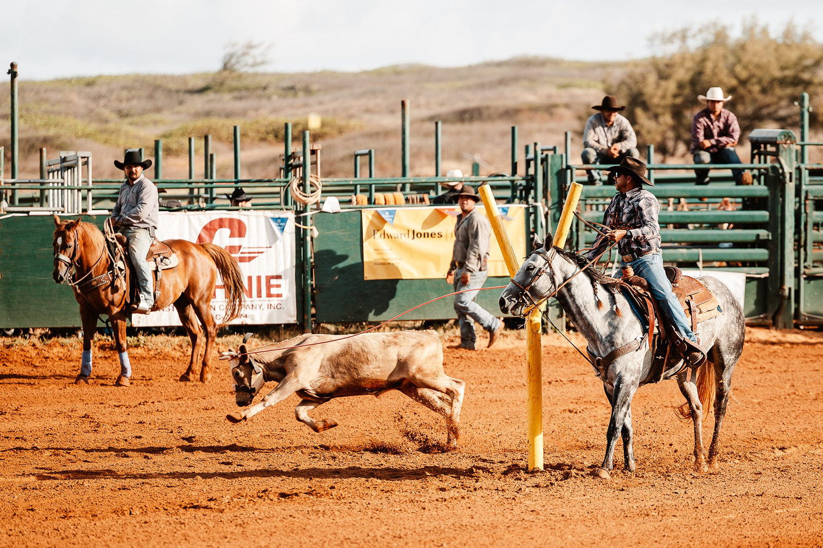 Rodeoing In The Aloha State - COWGIRL Magazine