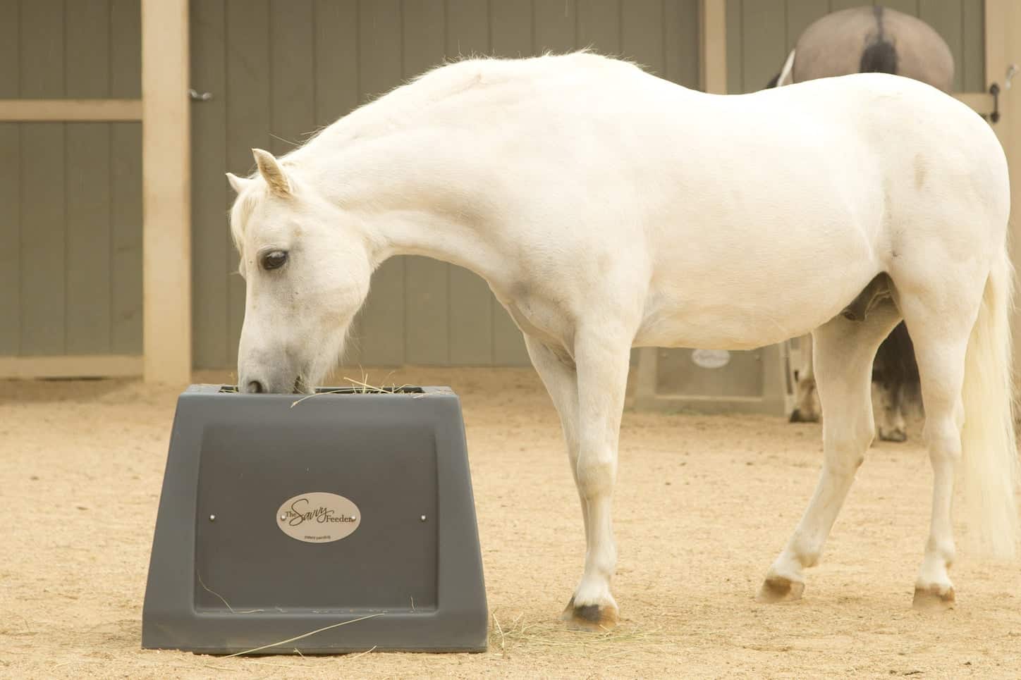 5 Slow Hay Feeders For Your Horse's Stall - COWGIRL Magazine