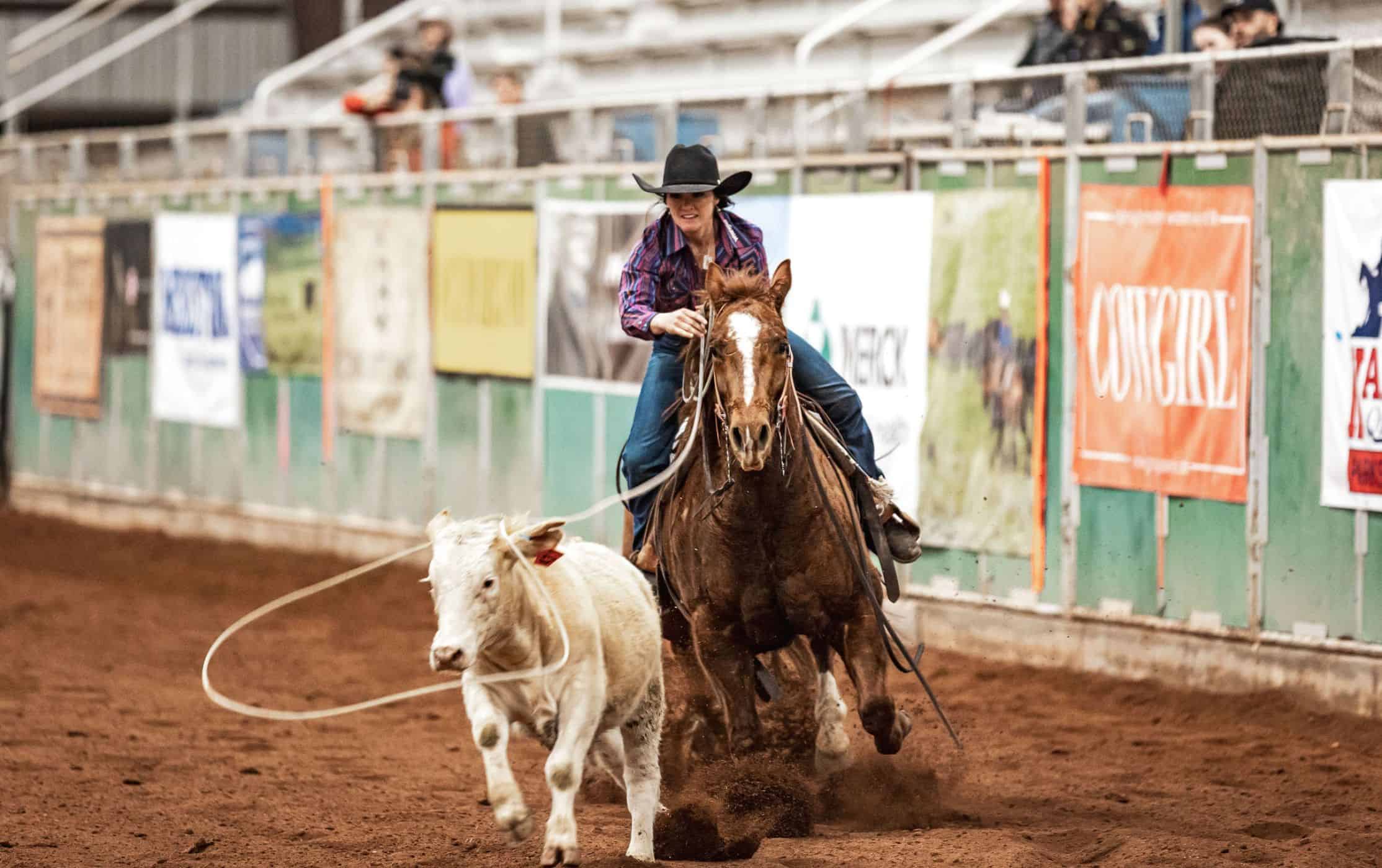 Art Of The Cowgirl 2024 Kicks Off This Week! - COWGIRL Magazine