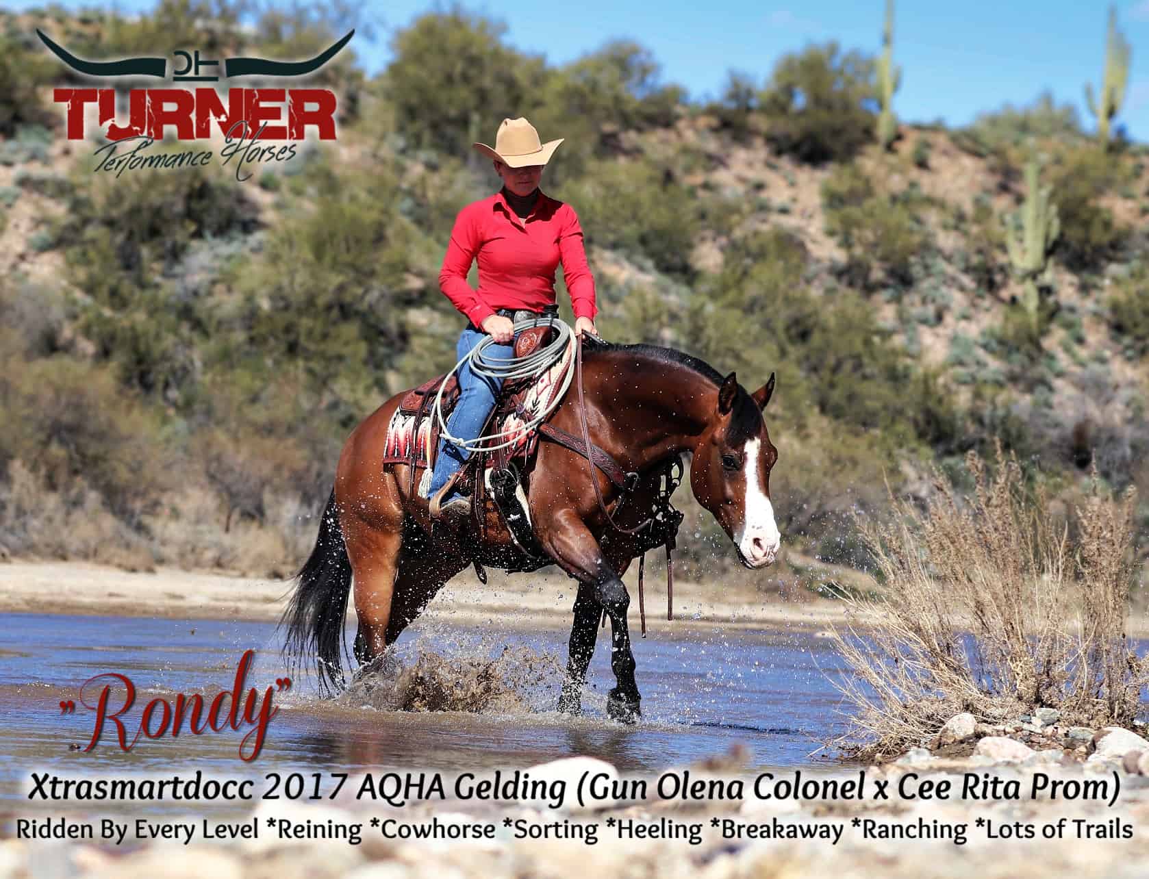 Turner Performance Horses: The Brand Of Excellence - COWGIRL Magazine
