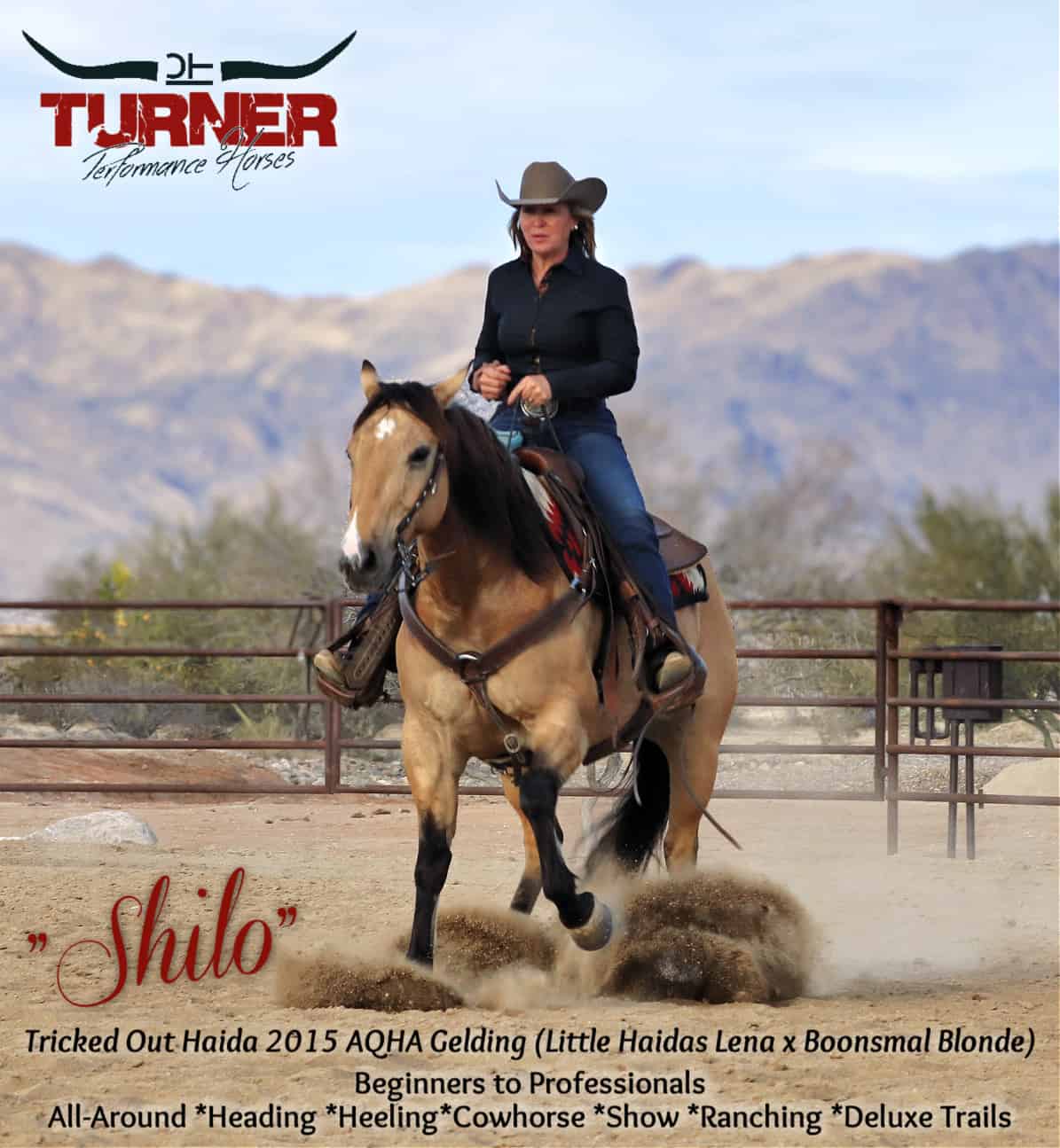 Turner Performance Horses: The Brand Of Excellence - COWGIRL Magazine