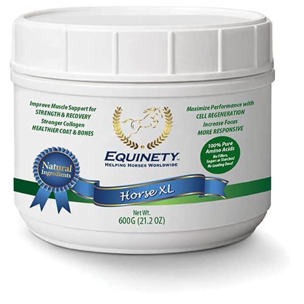 Five Ways To Boost Your Horse's Immune System - COWGIRL Magazine