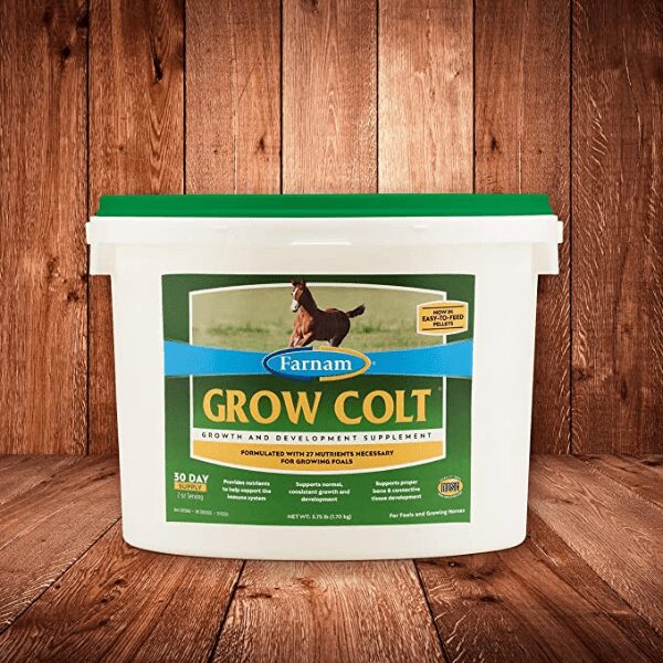 Five Ways To Boost Your Horse's Immune System - COWGIRL Magazine