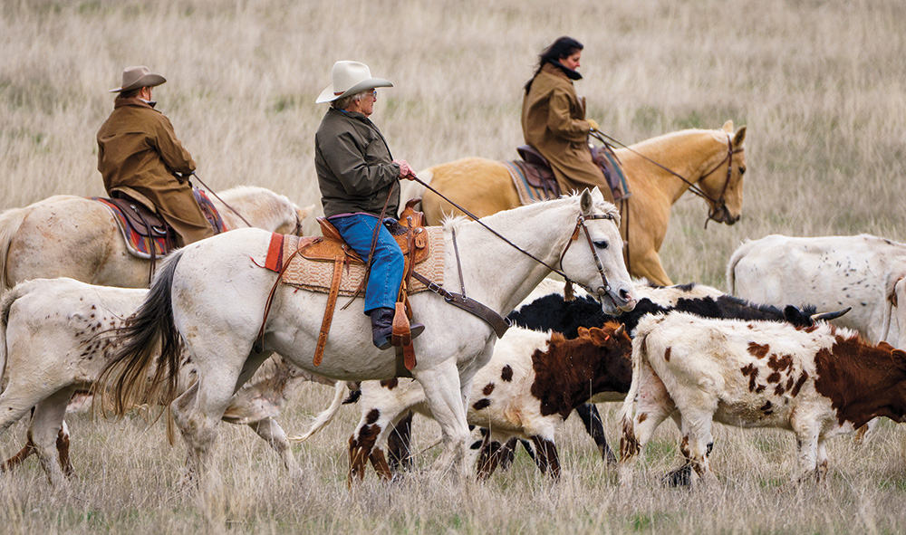 16 Amazing Cowgirl Exclusive Getaways - COWGIRL Magazine